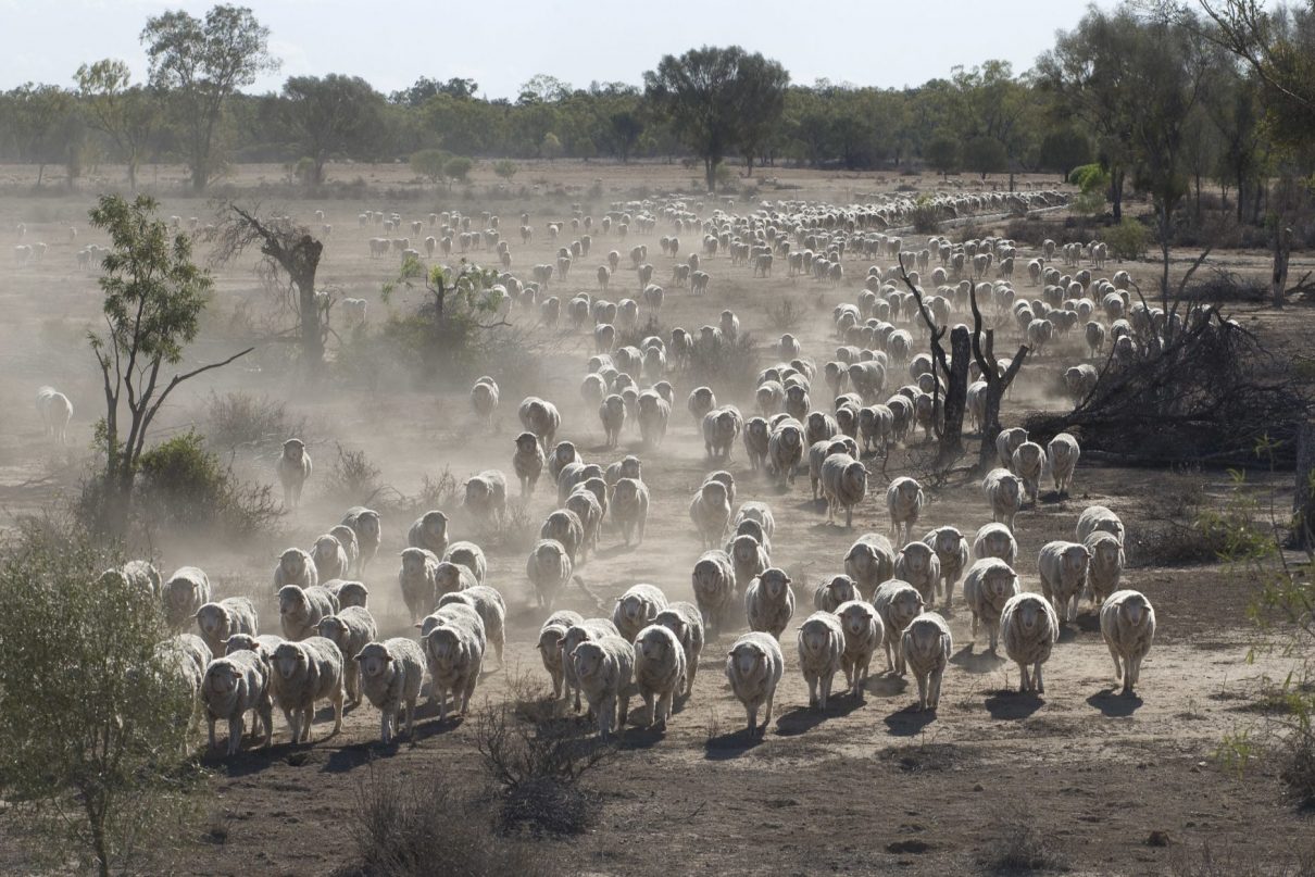 Farmers - The Australia Institute