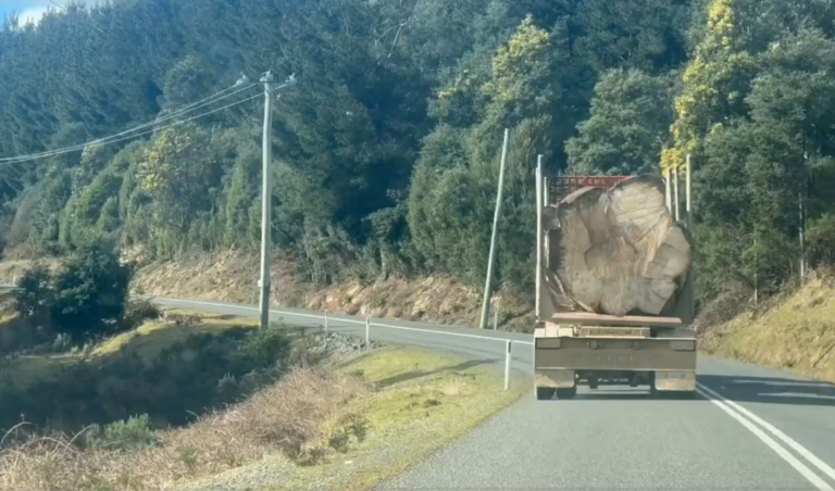 Native Forest Logging in Tasmania: The Facts - The Australia Institute