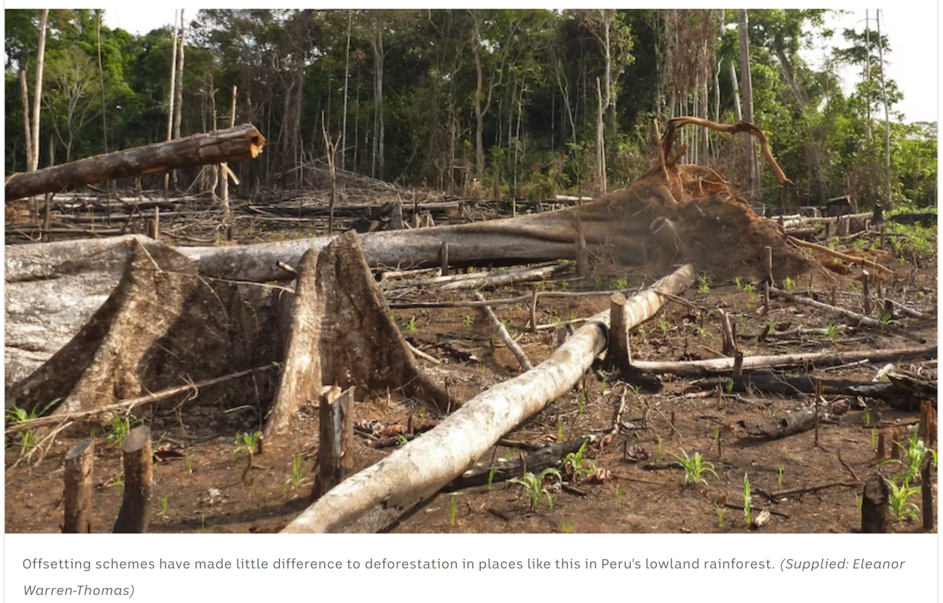 Here are 23 Times Carbon Offsets Were Found to be Dodgy - The Australia ...
