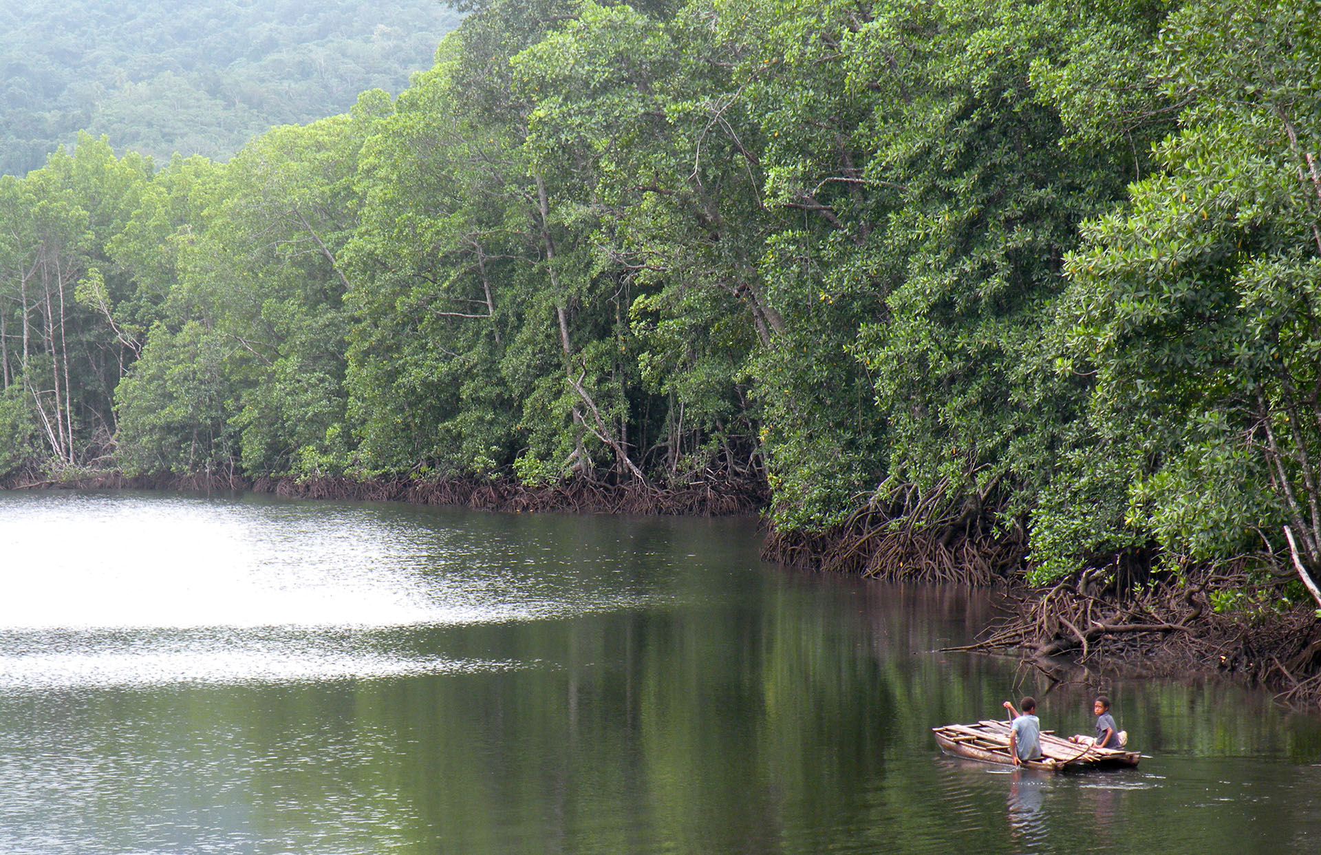 Here are 23 Times Carbon Offsets Were Found to be Dodgy - The Australia ...