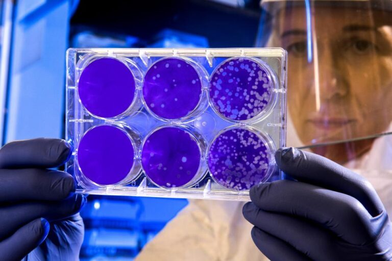 A Matter of Trust – Research Misconduct in Australia - The Australia ...