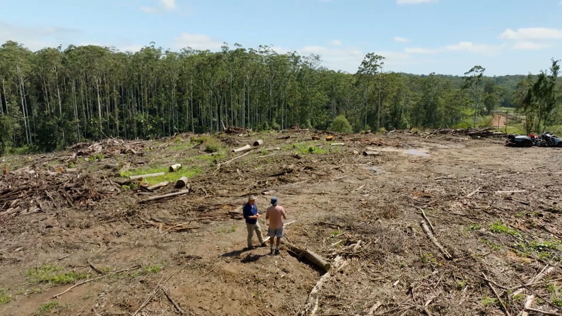 The Problem With Carbon Credits And Offsets Explained The Australia