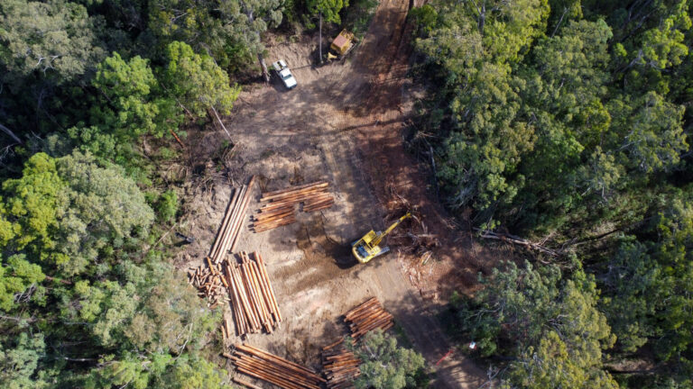 Native Forest Logging in Tasmania: The Facts - The Australia Institute