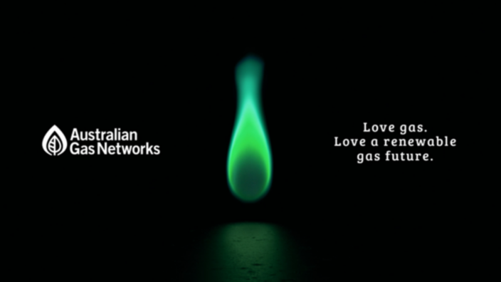 Nothing to love about gas or greenwashing - ACCC takes big gas to court ...