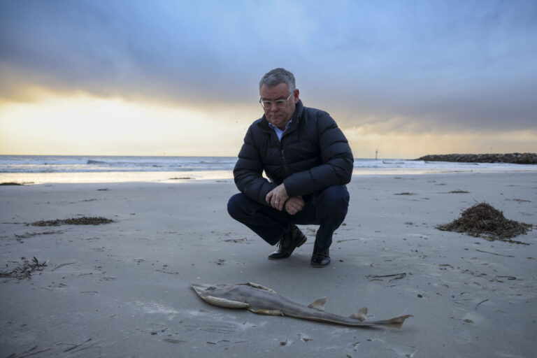 We need Labor’s Mr Fixit to fix the environment, not the politics - The ...